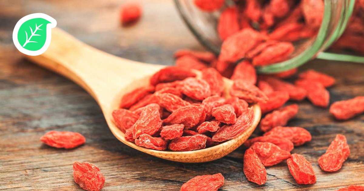Goji-marja on todellinen luonnon ihme | Luontaistuotekauppa